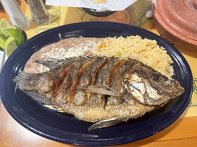This whole fried tilapia stares back at you as if to say, "Yes, I'm delicious, and yes, I know exactly how far from the ocean we are."