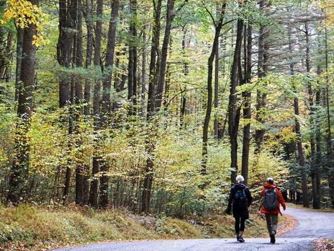 Two hikers discovering that autumn trails are nature's version of a Broadway show—spectacular colors, no tickets required.