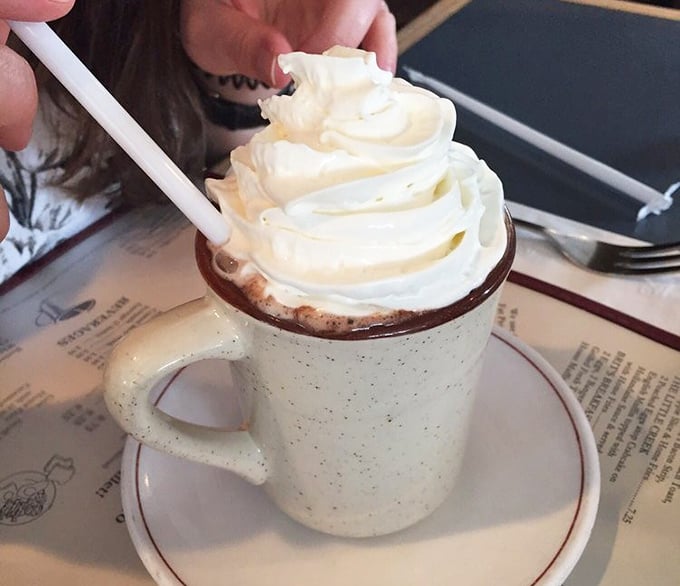 Hot chocolate topped with a cloud of whipped cream—the kind of simple pleasure that makes you wonder why anyone bothers with fancy coffee drinks.