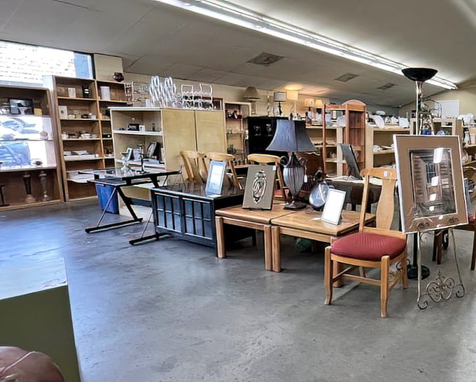 Furniture arranged like a high-end showroom, minus the hovering salespeople and heart-stopping price tags. That wooden desk is calling your name.