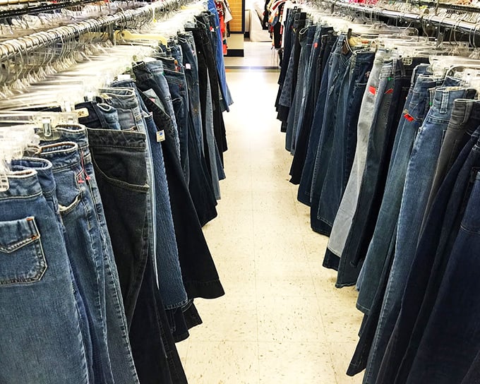 The denim corridor—a blue jean lover's dream where every pair tells a different story. Fashion archaeology at its most practical.
