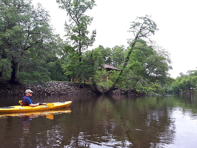 Kayaking the Edisto—where you can paddle at your own pace and pretend you're Lewis and Clark, just with better snacks.
