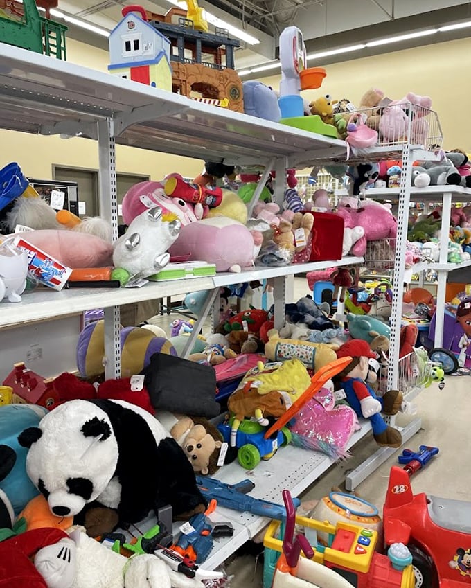 Stuffed animal mountain range—where plush pandas, unicorns, and teddy bears wait patiently for their forever homes and bedtime cuddles.