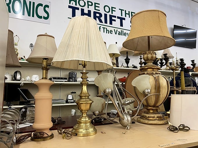 The lamp section glows with potential—from brass beauties to ceramic classics, each one waiting to light up someone's reading nook.