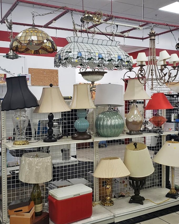 The lighting section glows with potential, from elegant Tiffany-style pendants to quirky table lamps. Your dark corner's savior is somewhere on these shelves.