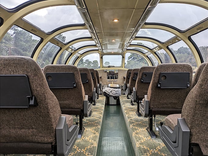 The Observation Dome car offers theater-style seating for Mother Nature's greatest show. I'd trade my living room recliner for one of these seats any day.