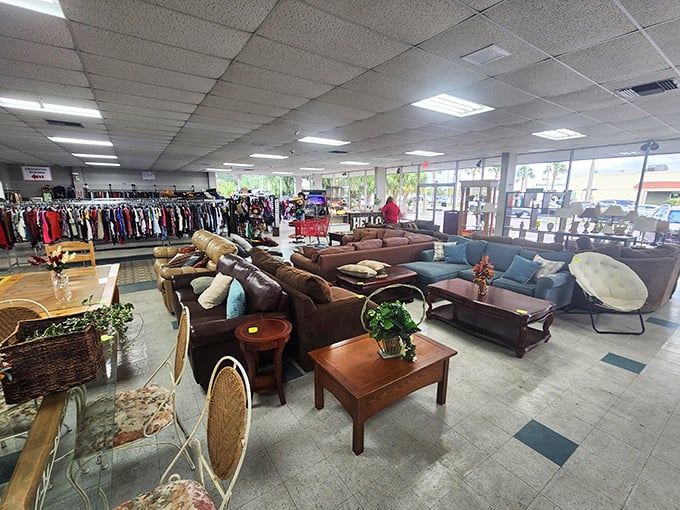 The furniture department feels more like a well-curated living room showroom than a secondhand store. Comfort without the sticker shock.