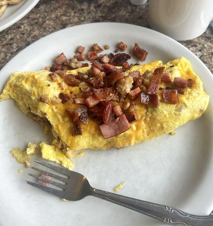 An omelette stuffed with more fillings than your grandmother's holiday cards. That melty cheese is sending all the right messages.
