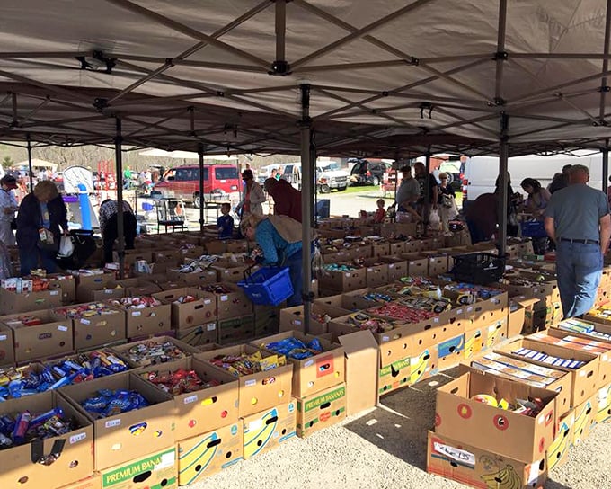 Cardboard kingdoms filled with snacks, sweets, and packaged goods—proof that bargain hunting works up an appetite that only knows one cure.