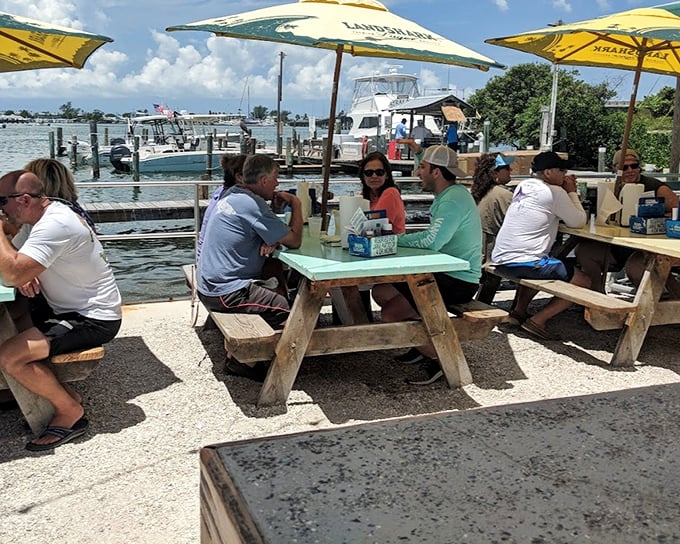 Picnic tables under yellow umbrellas where strangers become friends over grouper sandwiches and cold beer. This is Florida's real social network.