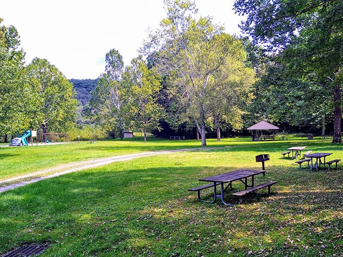 Picnic tables scattered under shade trees—where potato salad tastes better and conversations linger longer. The original outdoor dining experience!