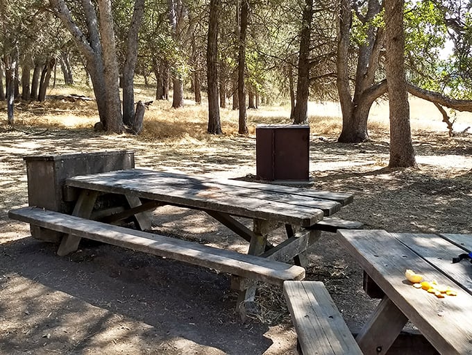 Rustic dining with a side of serenity – this picnic spot offers the kind of ambiance no five-star restaurant could ever replicate.