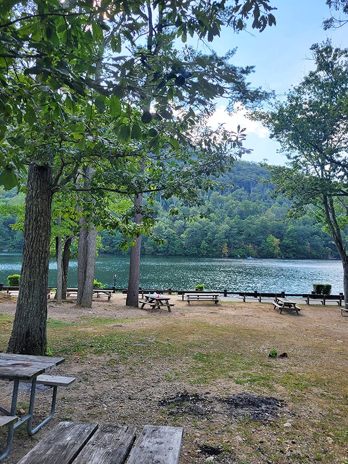 Picnic paradise with a side of serenity. These tables have hosted more memorable meals than many five-star restaurants—just bring your own champagne.