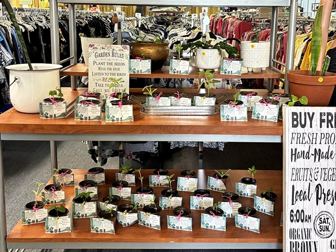 These seedlings represent the ReStore philosophy in miniature—new life from what others have left behind.