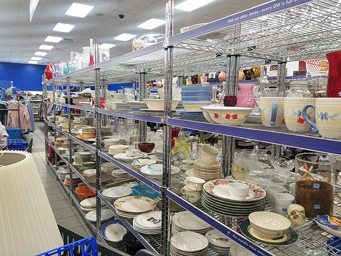 The housewares section gleams with potential – dinner plates, serving dishes, and glassware waiting to grace new tables at fraction-of-retail prices.