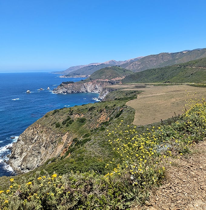 Wildflowers adding splashes of color to the coastal palette. Even amateur photographers look like professionals with this backdrop.