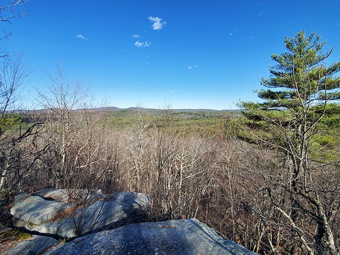 From this rocky overlook, the rolling hills of New Hampshire stretch to the horizon. Worth every step of the climb and every bead of sweat.