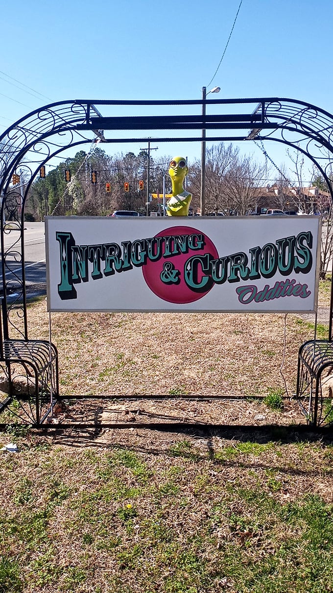 "Intriguing & Curious Oddities" indeed—this sign promises exactly the kind of adventure that turns a quick stop into an afternoon expedition.