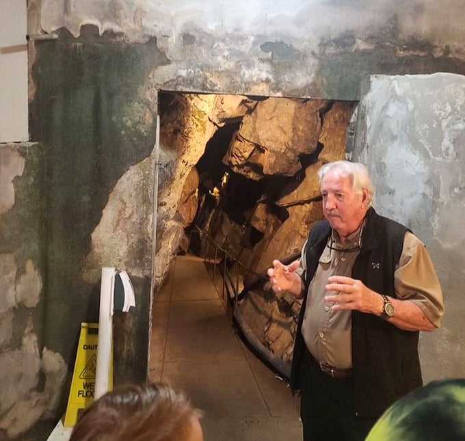 Tour guides bring the caverns' geological story to life with engaging explanations that make stalactites and stalagmites sound like the rock stars they truly are.