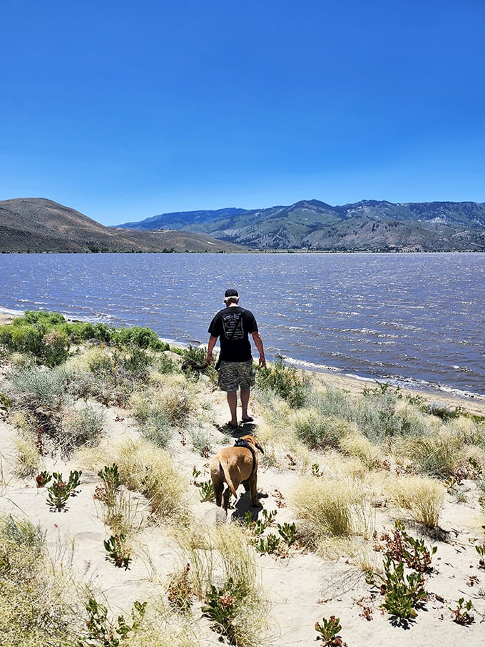 Where Nevada's wild side meets tranquility – a visitor and his faithful companion explore the shoreline while Washoe Lake ripples under the mountain breeze.