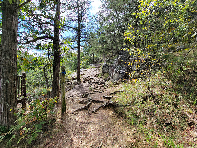 Trails that challenge your legs but reward your soul – the best kind of trade-off nature offers.