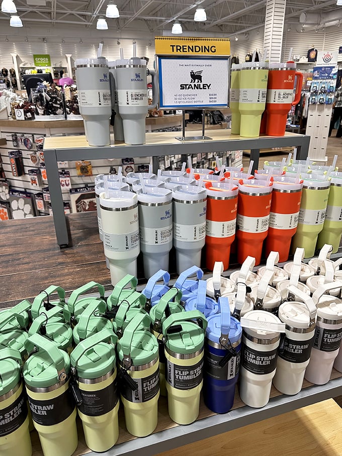Stanley tumblers in every color imaginable—the modern status symbol that says "I'm hydrated, environmentally conscious, and possibly too invested in drinkware."