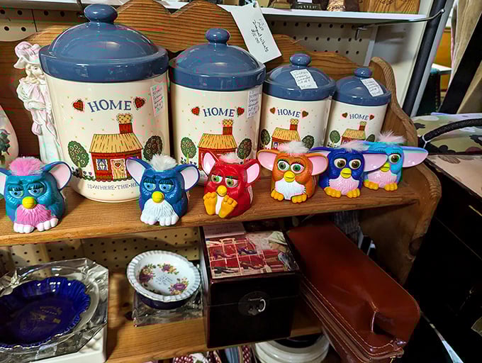 Those "Home" canisters and colorful Furbies create the perfect timeline of American kitsch—from farmhouse charm to 90s electronic pets.