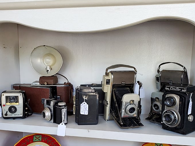 These aren't just old cameras—they're mechanical time machines that once captured someone's wedding, graduation, or first steps.