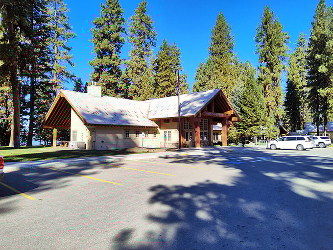 The visitor center—where park rangers answer the question "Where can I see a moose?" approximately 87 times daily.