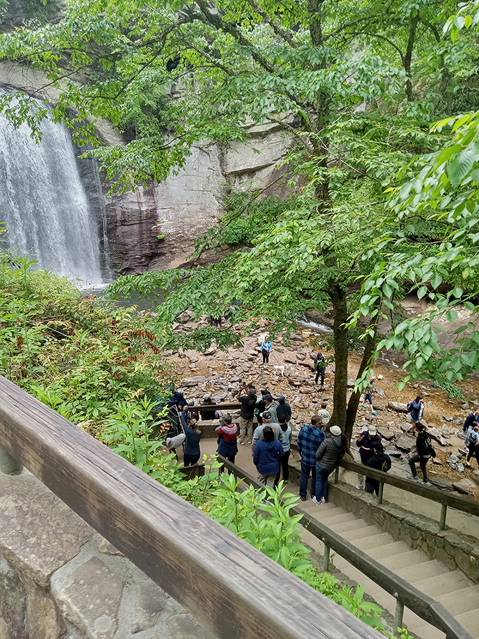 The universal reaction to first-time visitors: collective awe. Even in a world of digital distractions, a magnificent waterfall still commands our full attention.