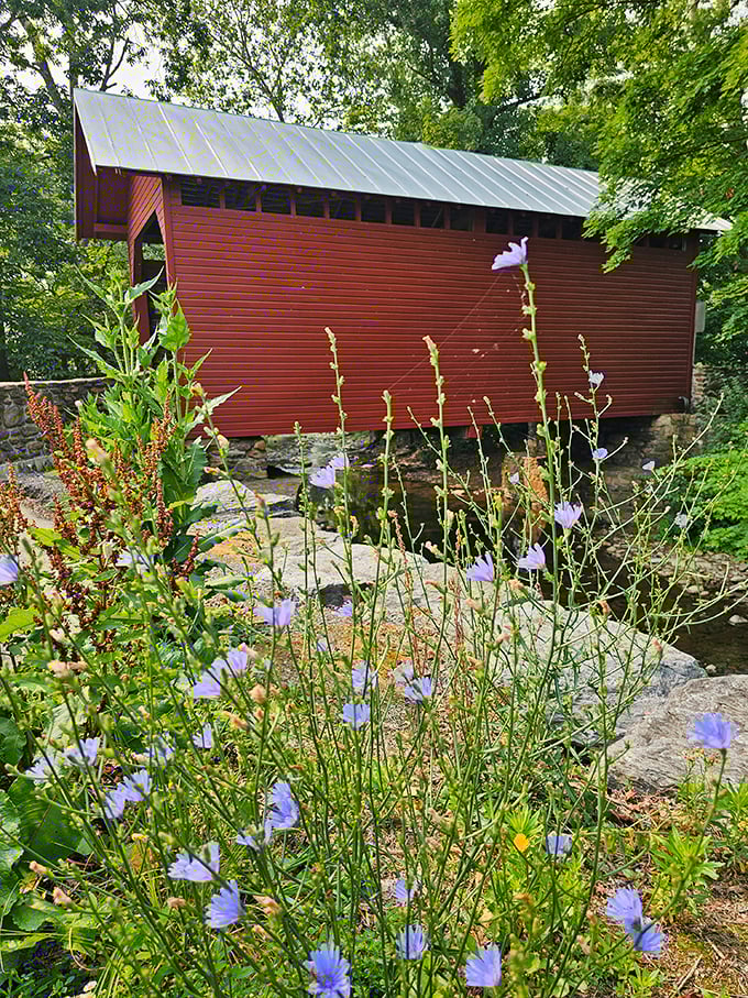 Spring blooms frame the bridge beautifully, proving that every season brings its own special charm to this spot.