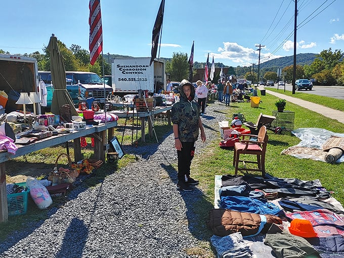 Mountain views provide the perfect backdrop for treasure hunting adventures in Virginia's beautiful Shenandoah Valley.