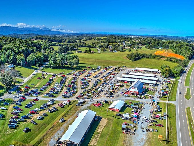 From above, this flea market looks like a small city dedicated entirely to the noble art of bargain hunting.
