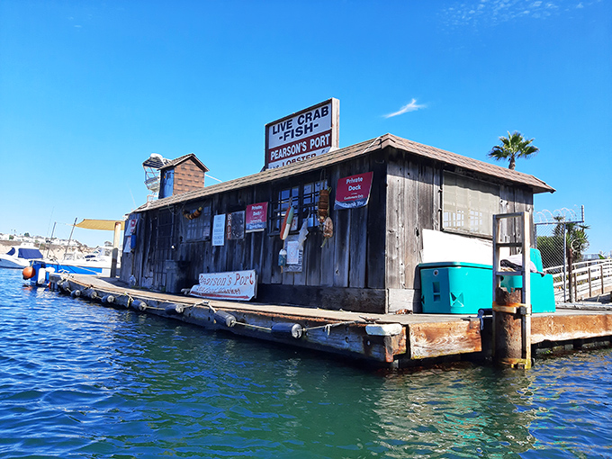 Pearson's Port literally floats on Newport Harbor - because when you're this serious about seafood, location matters.