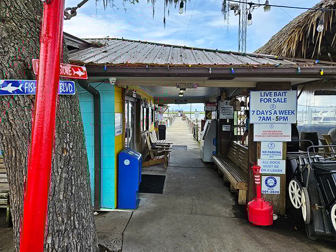 Rustic charm meets fresh catches where every meal feels like discovering a secret fishing village.