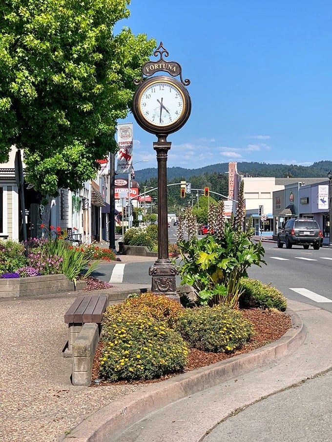 Tree-lined streets and old-school buildings make Fortuna feel like stepping back to when towns had actual personality.