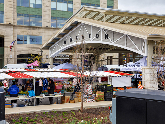 Market day in Wheaton brings vendors and shoppers together under open skies—commerce with a side of community.