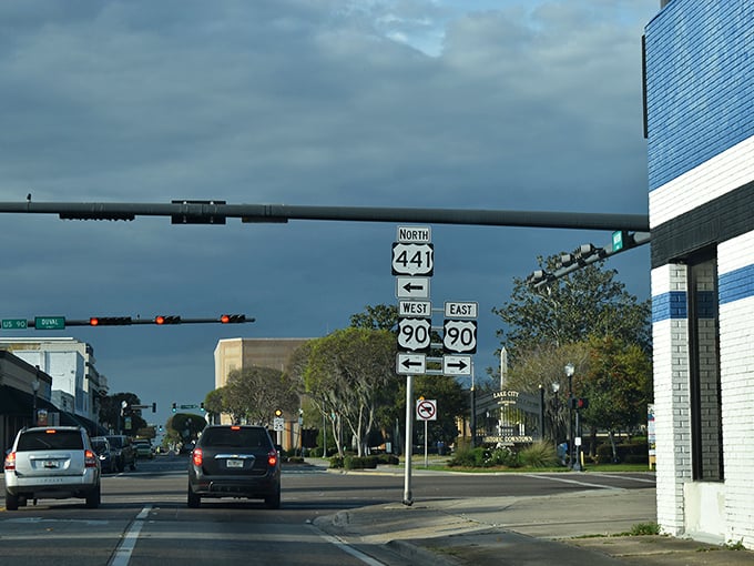 Tree-lined downtown streets create natural galleries where history and modern life blend seamlessly.