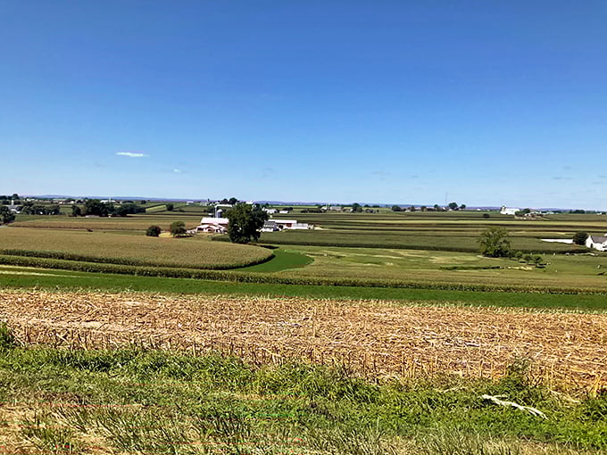 A classic Amish barn in Paradise – where "built to last" isn't a marketing slogan but a way of life.