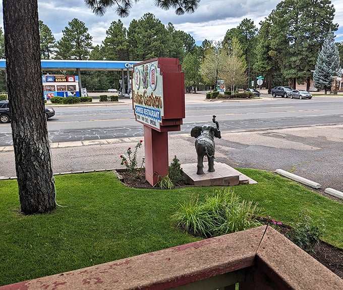 A quiet town road offers views so stunning, they look like they belong in a nature documentary.