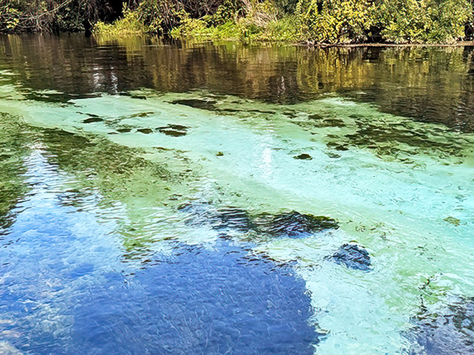 Blue meets green in perfect harmony! This spring's colors blend like nature's own watercolor masterpiece—sorry, Bob Ross.