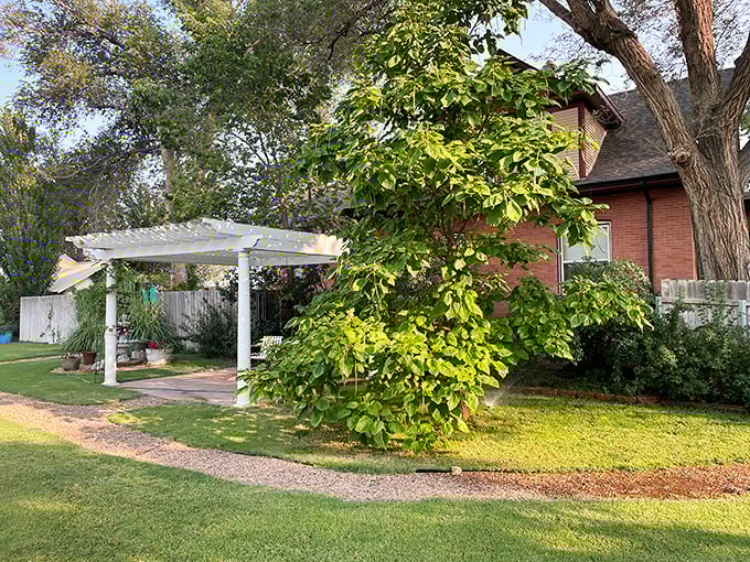 Local bed and breakfast accommodations provide personal touches that chain hotels forgot they ever offered guests.