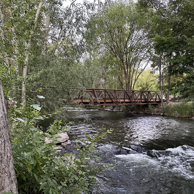 This pedestrian bridge over rushing waters offers both practical crossing and moments of zen contemplation—nature's therapy at no hourly rate.