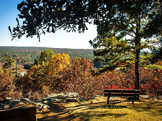 Fall paints Robbers Cave with a palette that would make any artist jealous. That bench isn't just a seat—it's front-row tickets to nature's show.