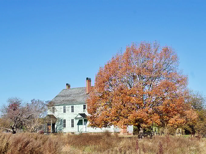 History stands sentinel through changing seasons. This historic structure wears autumn colors like a complementary accessory, no Instagram filter needed.