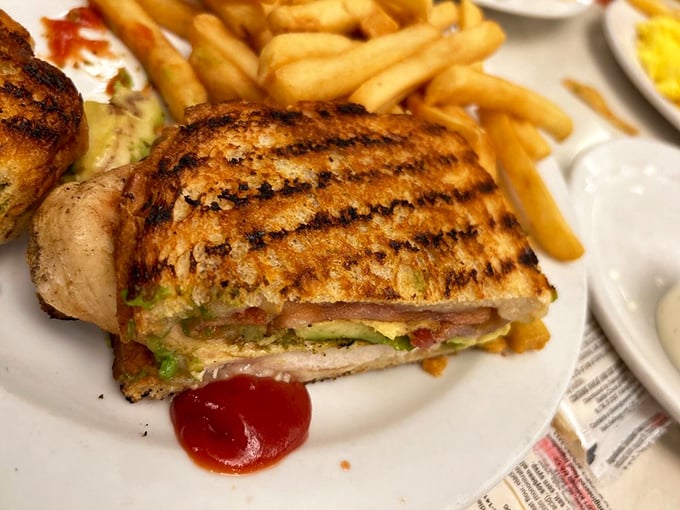 This grilled sandwich has achieved the golden ratio of crispy exterior to melty interior—architectural perfection between bread.