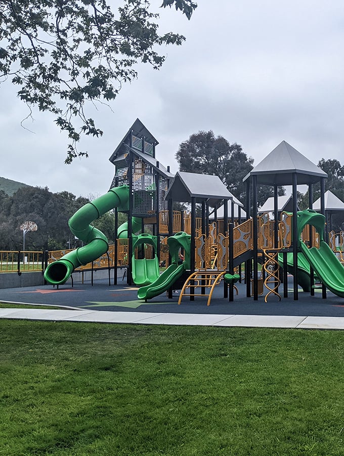 Beattie Park's playground equipment offers grandparent-approved adventures for the younger set—slides that thrill without terrifying the insurance adjuster.