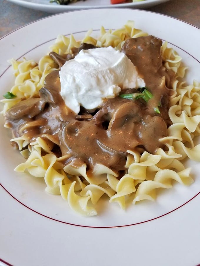 Beef stroganoff over egg noodles – comfort food that hugs you from the inside out.