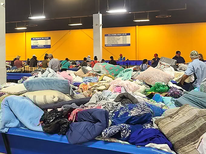 Not just clothes—these bins contain potential blankets, curtains, and fabric waiting to be reimagined. One person's discarded sheet is another's craft project goldmine.