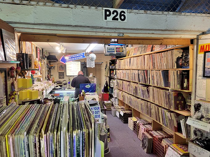 Vinyl enthusiasts can lose hours in this record shop, where forgotten B-sides and rare pressings promise musical treasure hunts.